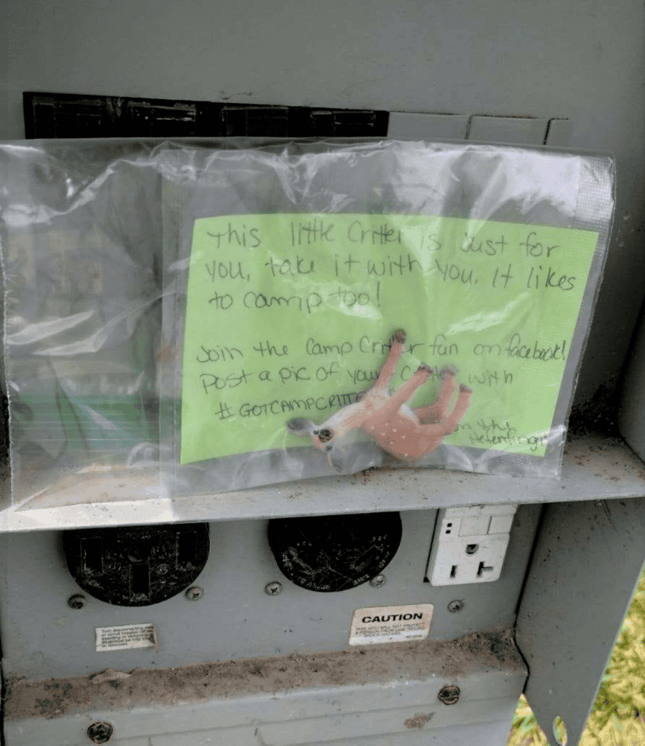 Campsite Critters - *Funnest* New Campground Trend (+Printable Inserts ...