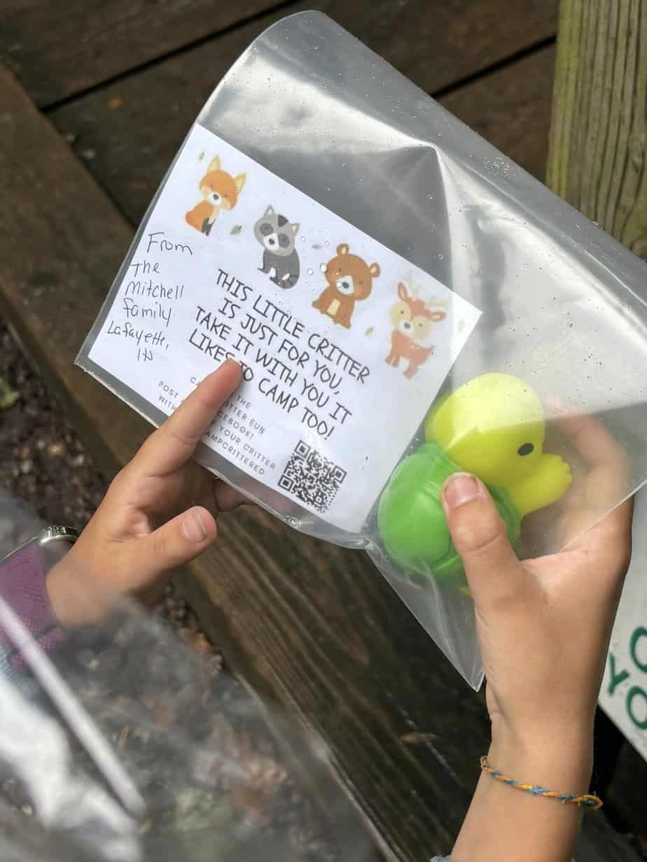 Campsite Critters - *Funnest* New Campground Trend (+Printable Inserts ...