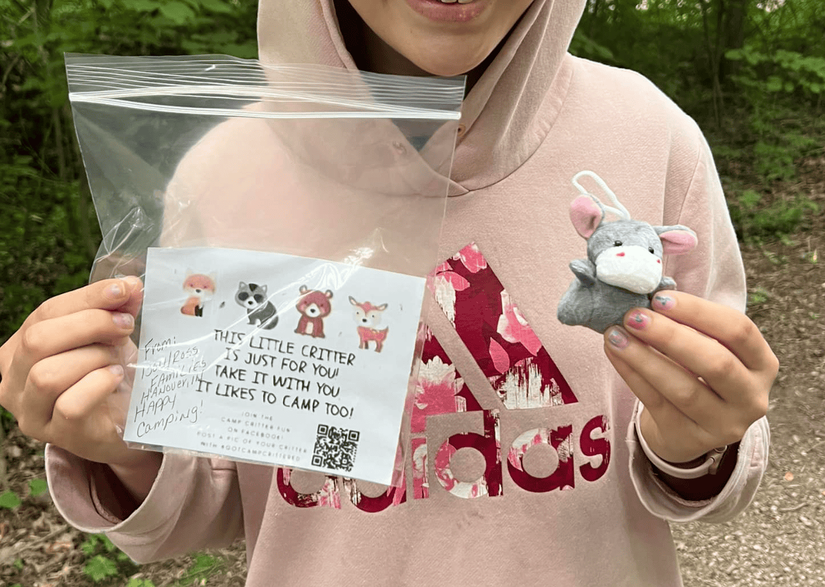 Campsite Critters - *Funnest* New Campground Trend (+Printable Inserts ...