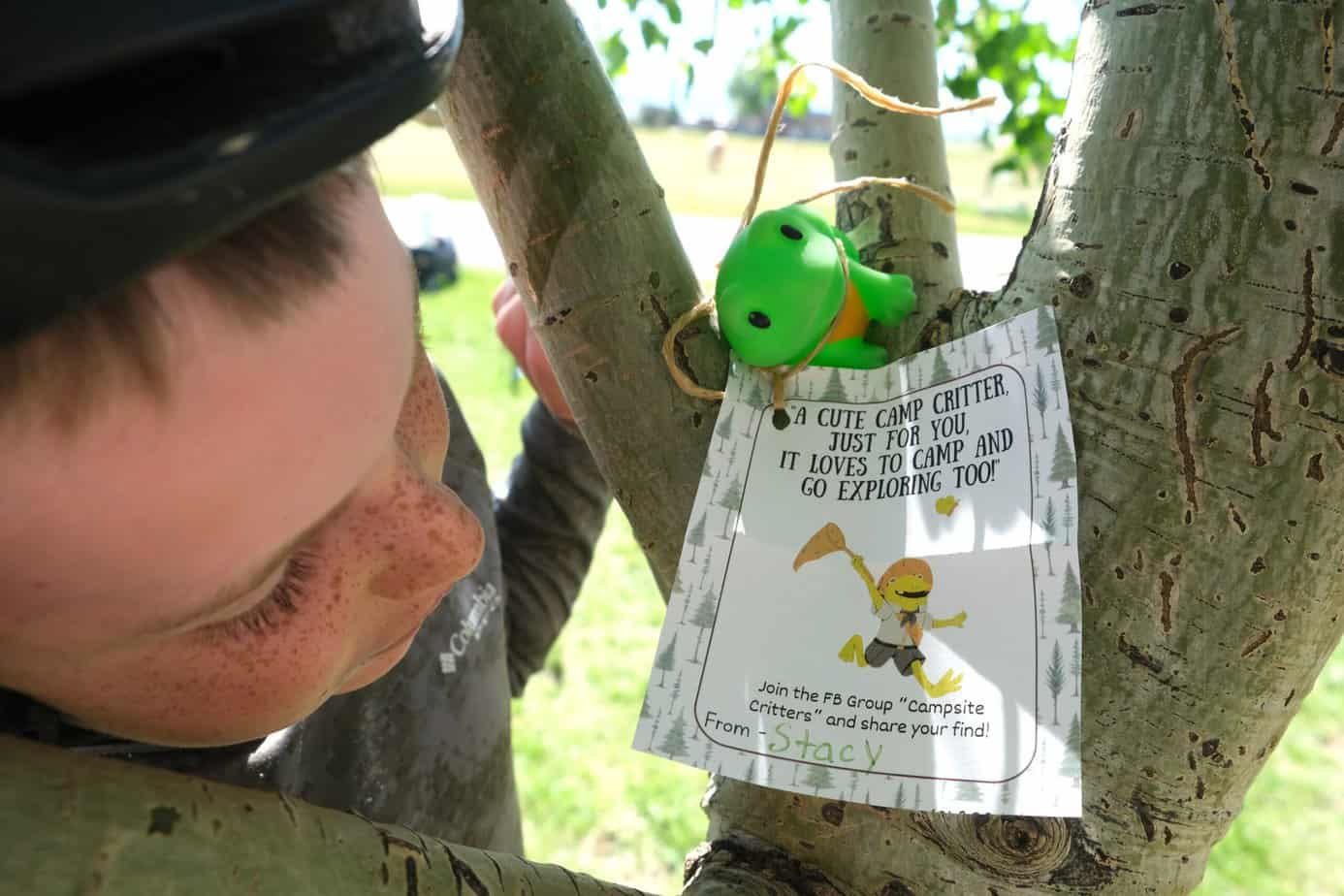 Campsite Critters - *Funnest* New Campground Trend (+Printable Inserts ...