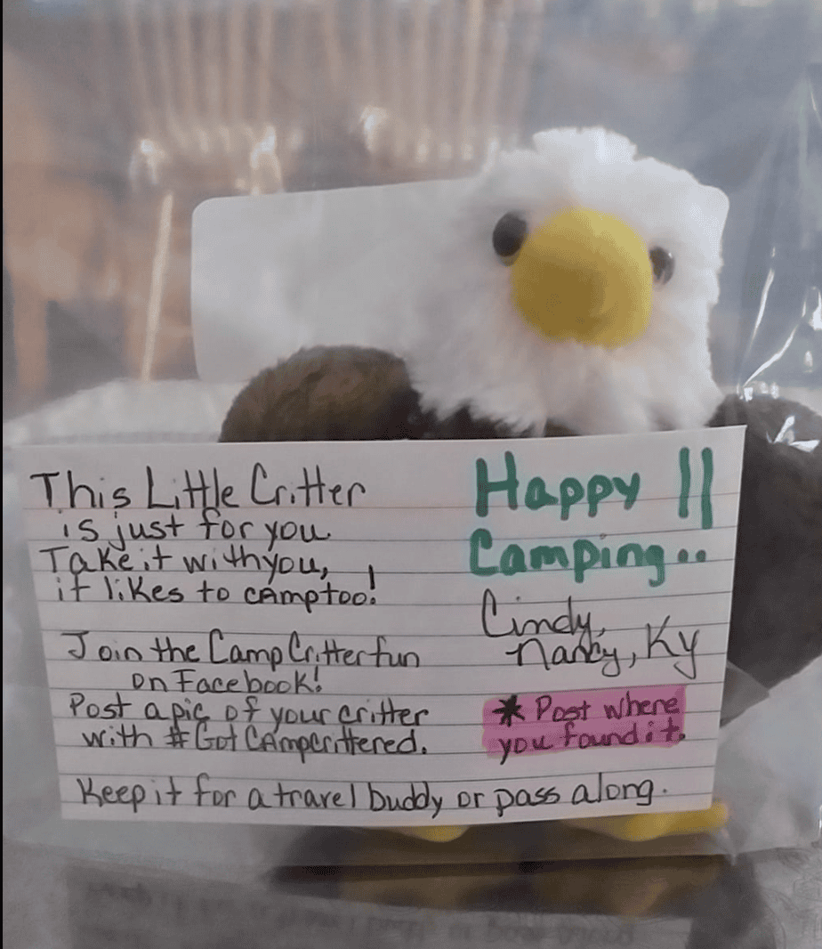 Campsite Critters - *Funnest* New Campground Trend (+Printable Inserts ...