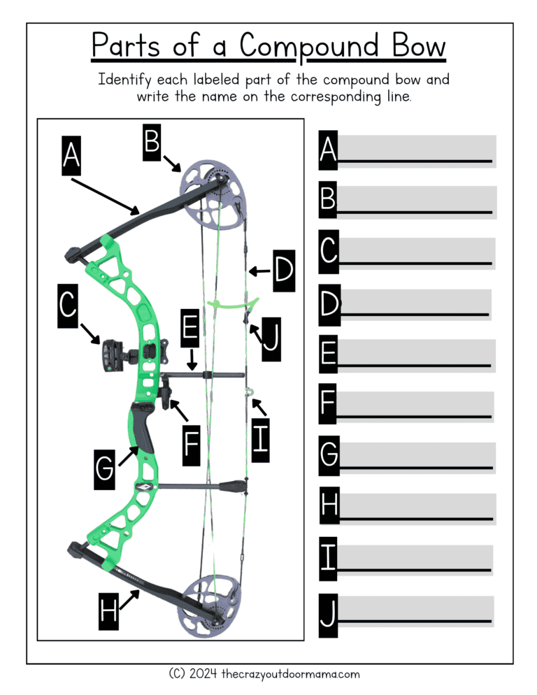 4H Archery Worksheets for Kids - Parts of a Compound Bow + More! – The ...