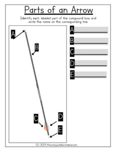 4H Archery Worksheets for Kids - Parts of a Compound Bow + More! – The ...