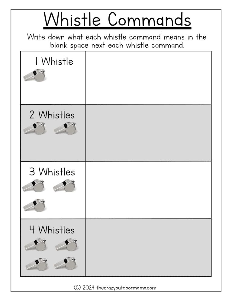 4H Archery Worksheets for Kids - Parts of a Compound Bow + More! – The ...