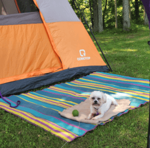 Dollar Tree Camping Hacks: 50+ Clever Uses for Common Dollar Store ...